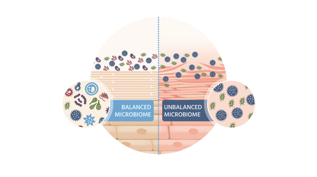 Splash Microbiome - mypureradiance.com